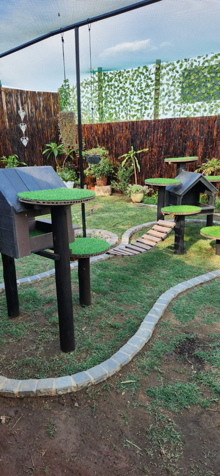Paws Inn Fourways – Cattery – Your Cats Home Away from Home