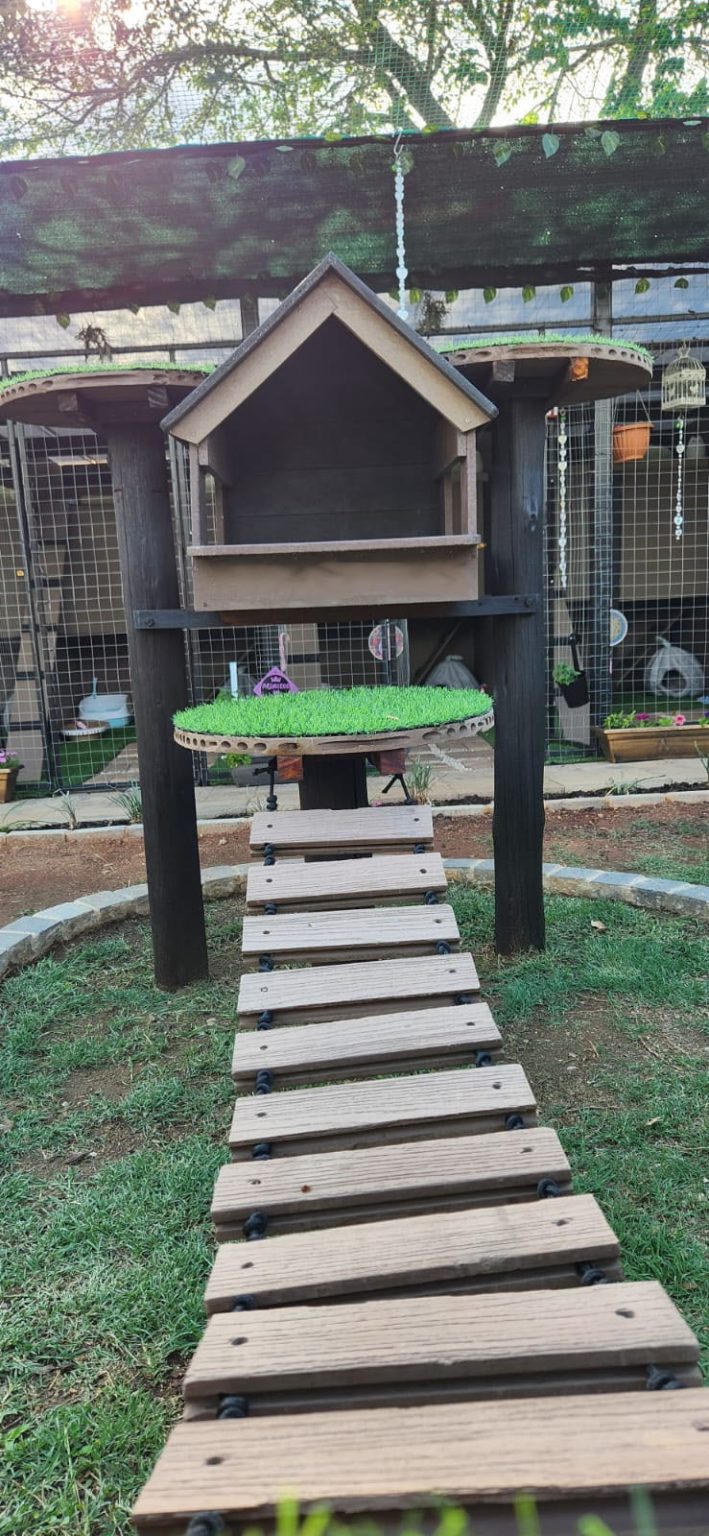 Home - Paws Inn Fourways