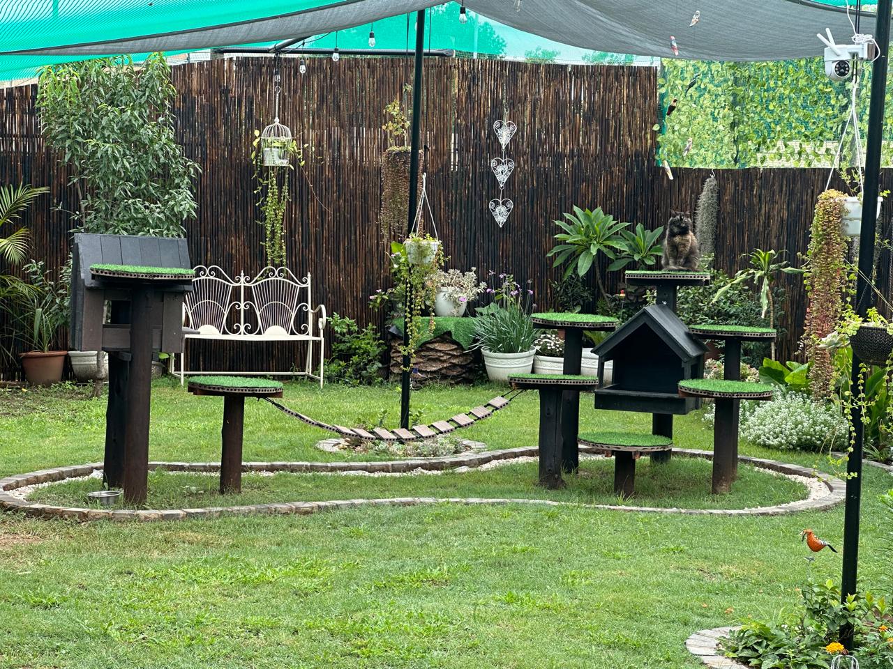 Home - Paws Inn Fourways